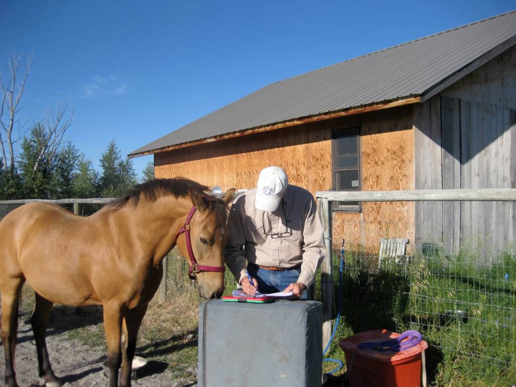 lee-lofgren-equine-and-canine-chiropractic-care-home-3 | Equine and ...